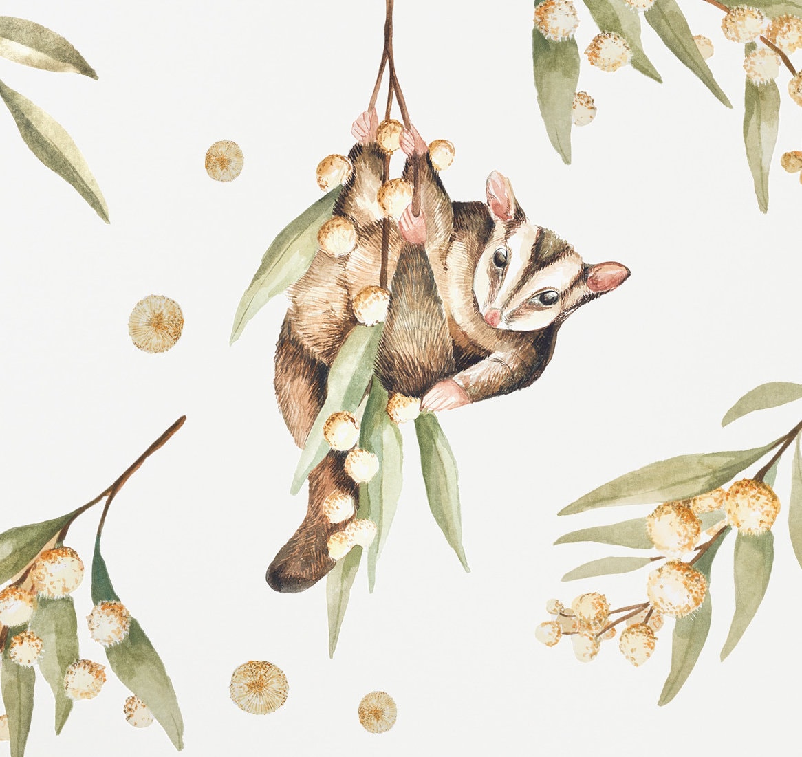Sugar Glider Decal / Australian Animals / Wall Stickers / Wall | Etsy ...