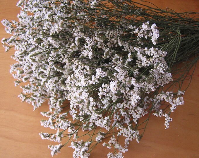 Good Bunch of White Dried Caspia Dried Wedding Flowers Rustic Dried ...