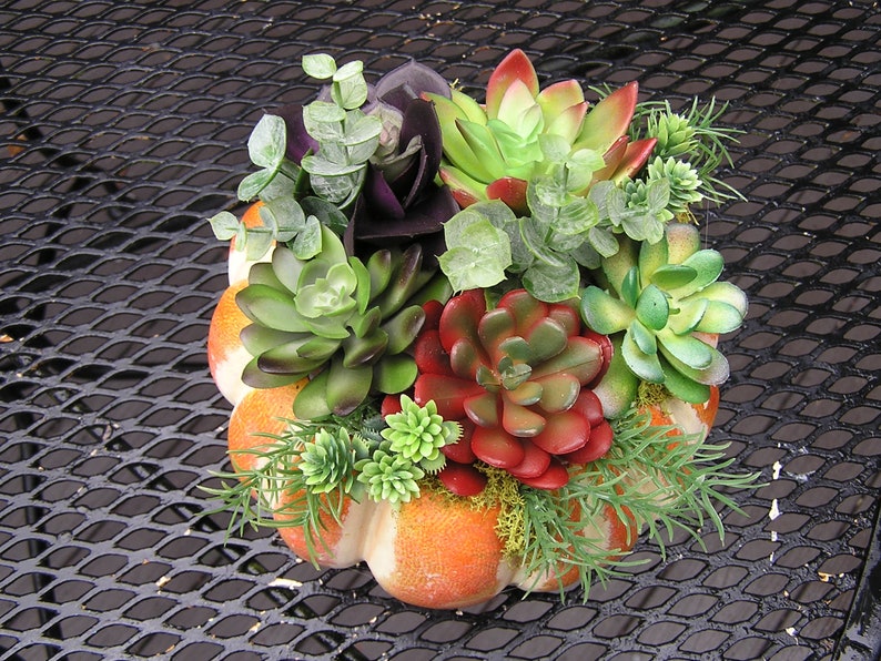 Succulents in Pumpkin Arrangement Fall Succulent Table Piece | Etsy