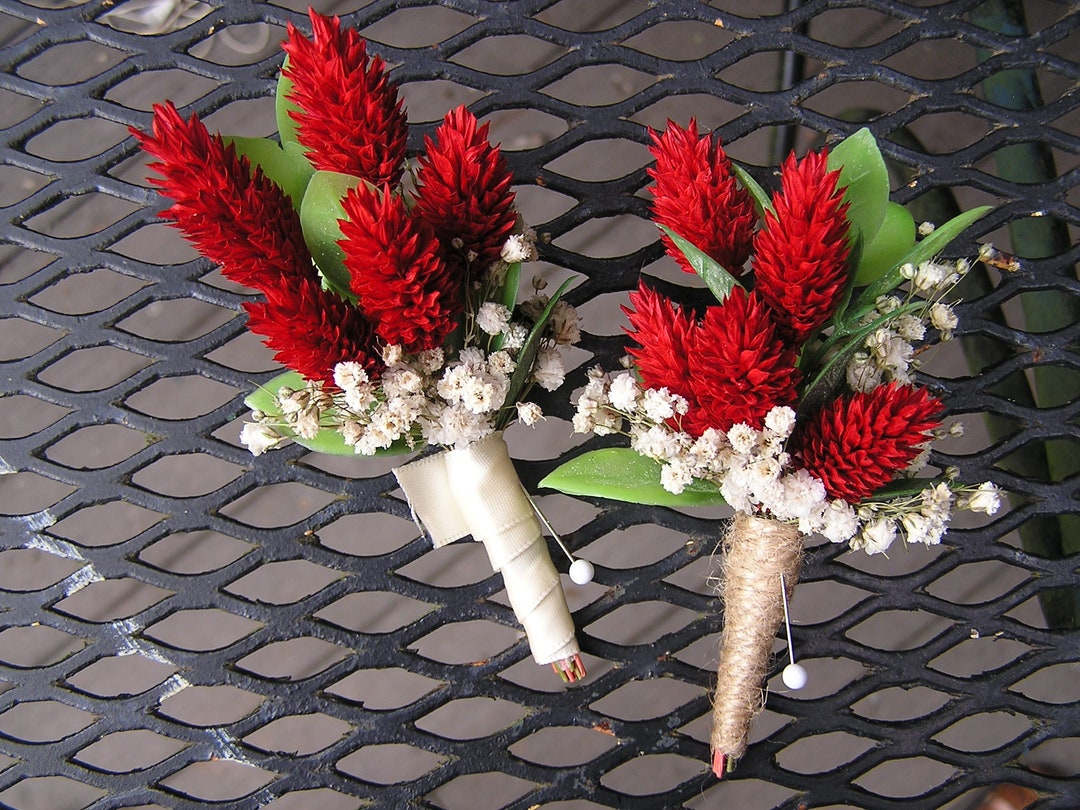 Dried Red Flower Boutonniere, Wedding Buttonhole for Groom, Groomsman ...