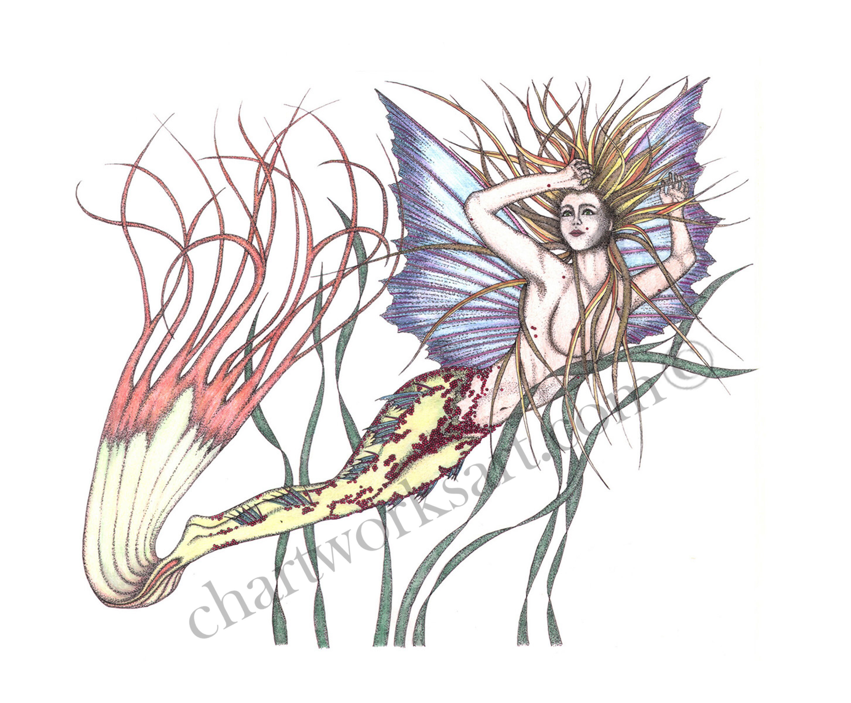 Mermaid Art Print calypso Sea Maiden Pen & Ink - Etsy