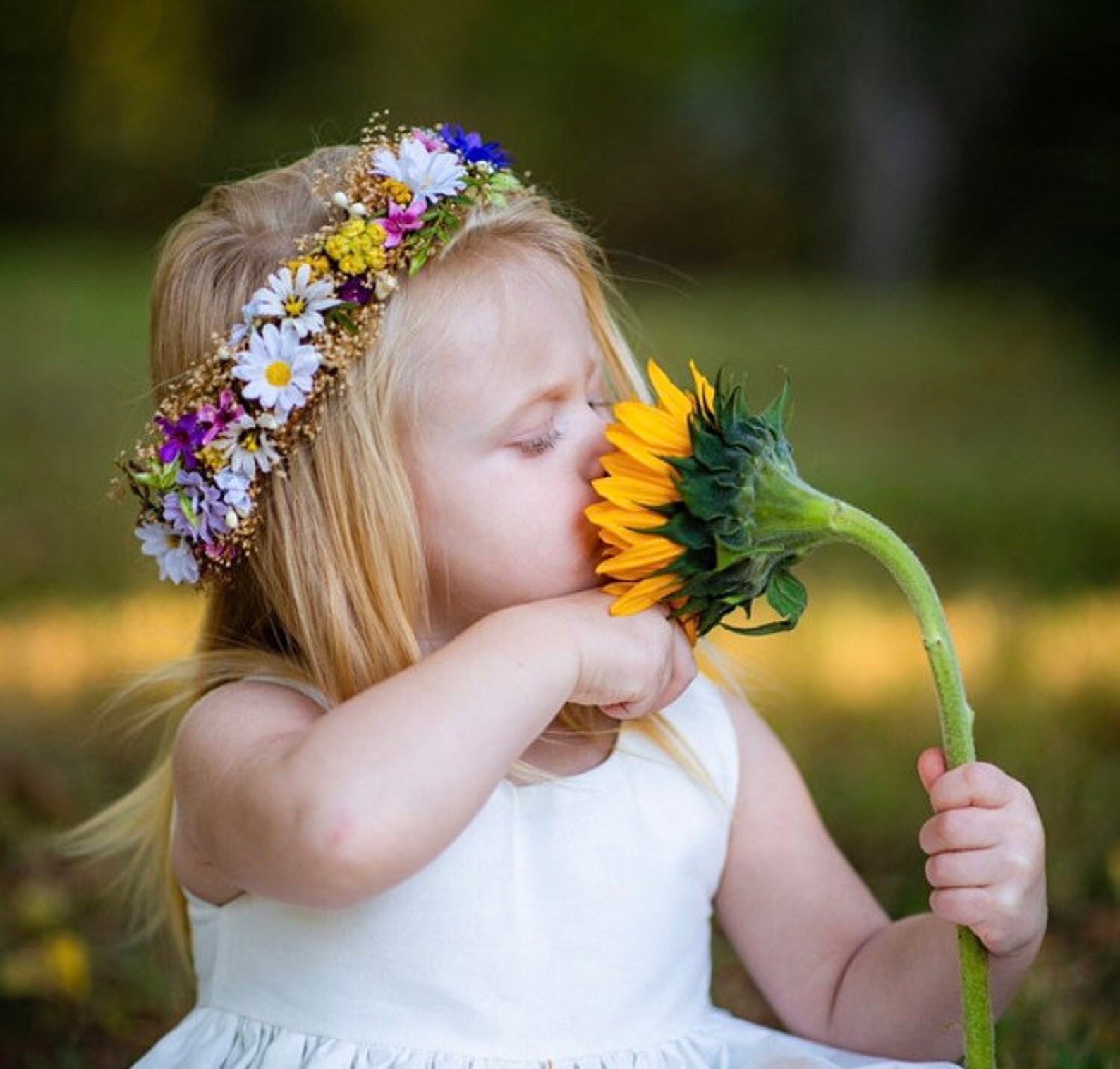 Daisy Flower Crown: Wildflower Hair Wreath, Wedding Photo Prop - Etsy