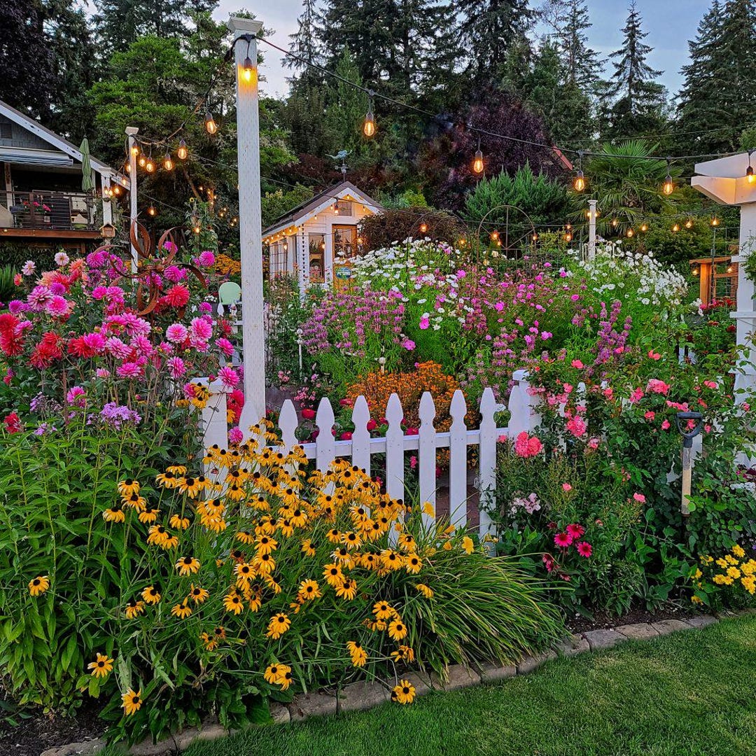 Cut Flower Garden Seed Kit: 20+ Heirloom & Annual Varieties - Etsy