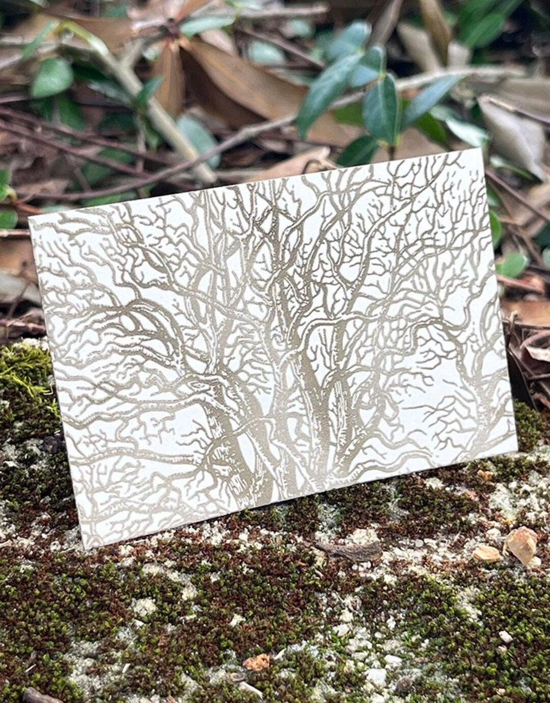 Laser Engraved Pattern Sterling Silver Sheet (oak Tree) 3x2" (SLP0030 ...