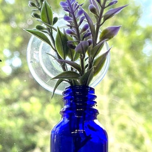 The "haint Chaser" Glass Bottle Tree by Cubby's! - Etsy