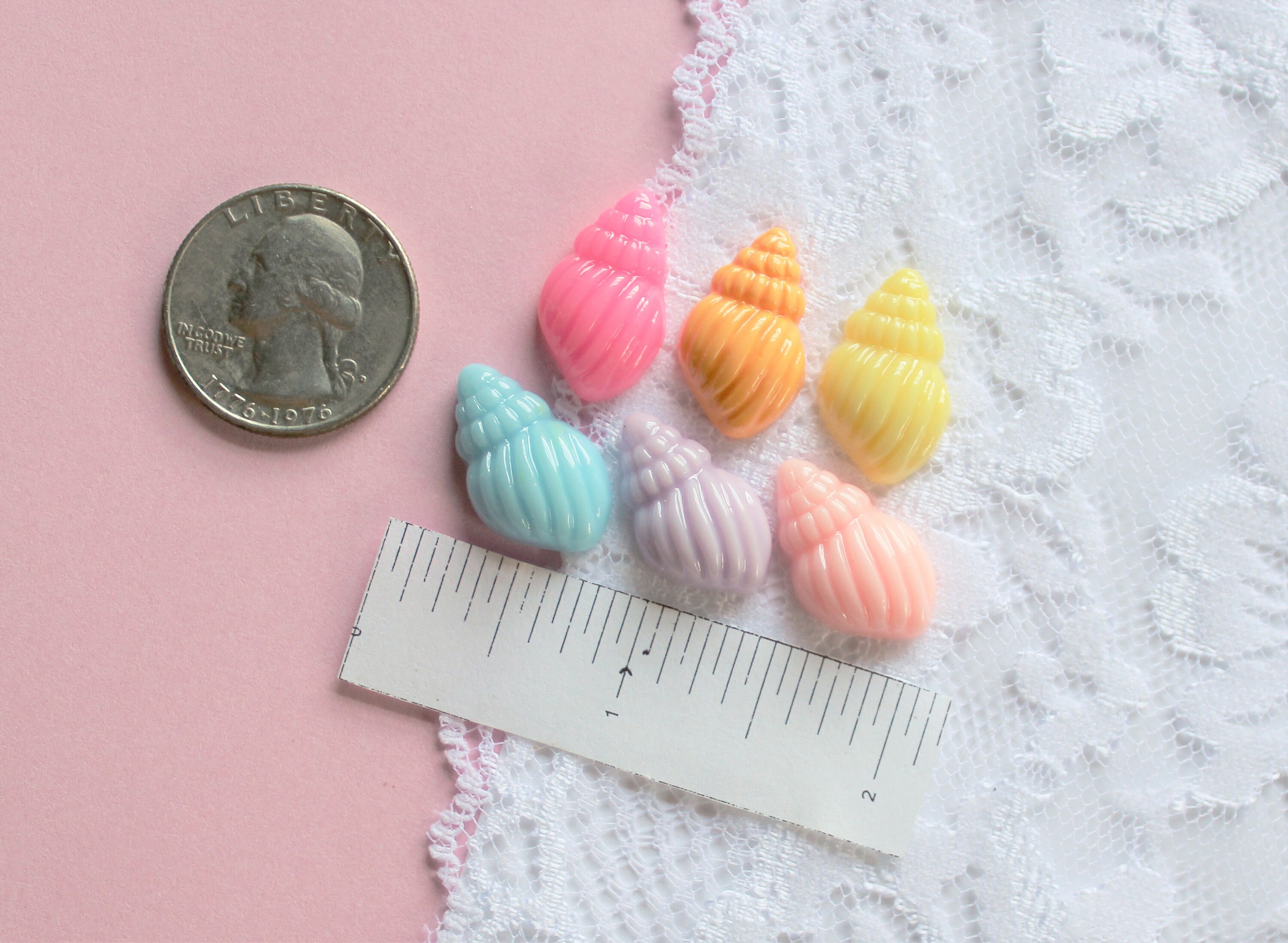 6 Pcs Assorted Pastel Conch Sea Shell Cabochons 21x13mm | Etsy