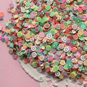 40g Polymer Clay Assorted Fruit Slices - Over 800 Pieces - Etsy