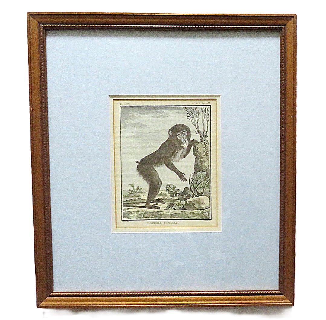 1 of 3 18th Century French Hand Colored George-louis Leclerc Comte De ...