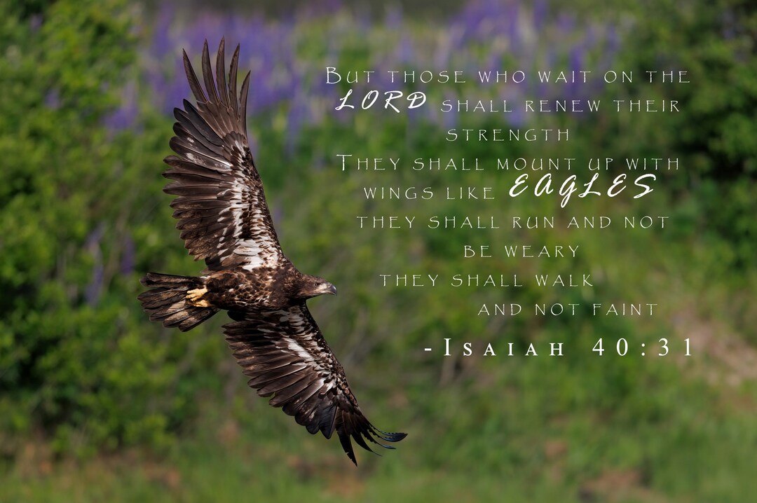 Eagle Isaiah 4031 Bible Verse Isaiah 40-31, Christian Inspirational ...
