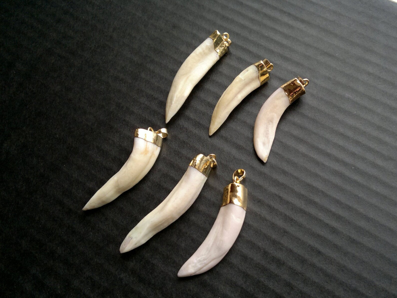 Wolf Tooth Necklace Real Tooth Jewelry Gold Dipped Tooth | Etsy