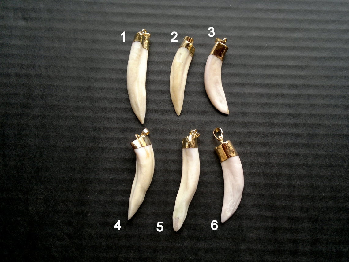 Wolf Tooth Necklace Real Tooth Jewelry Gold Dipped Tooth | Etsy