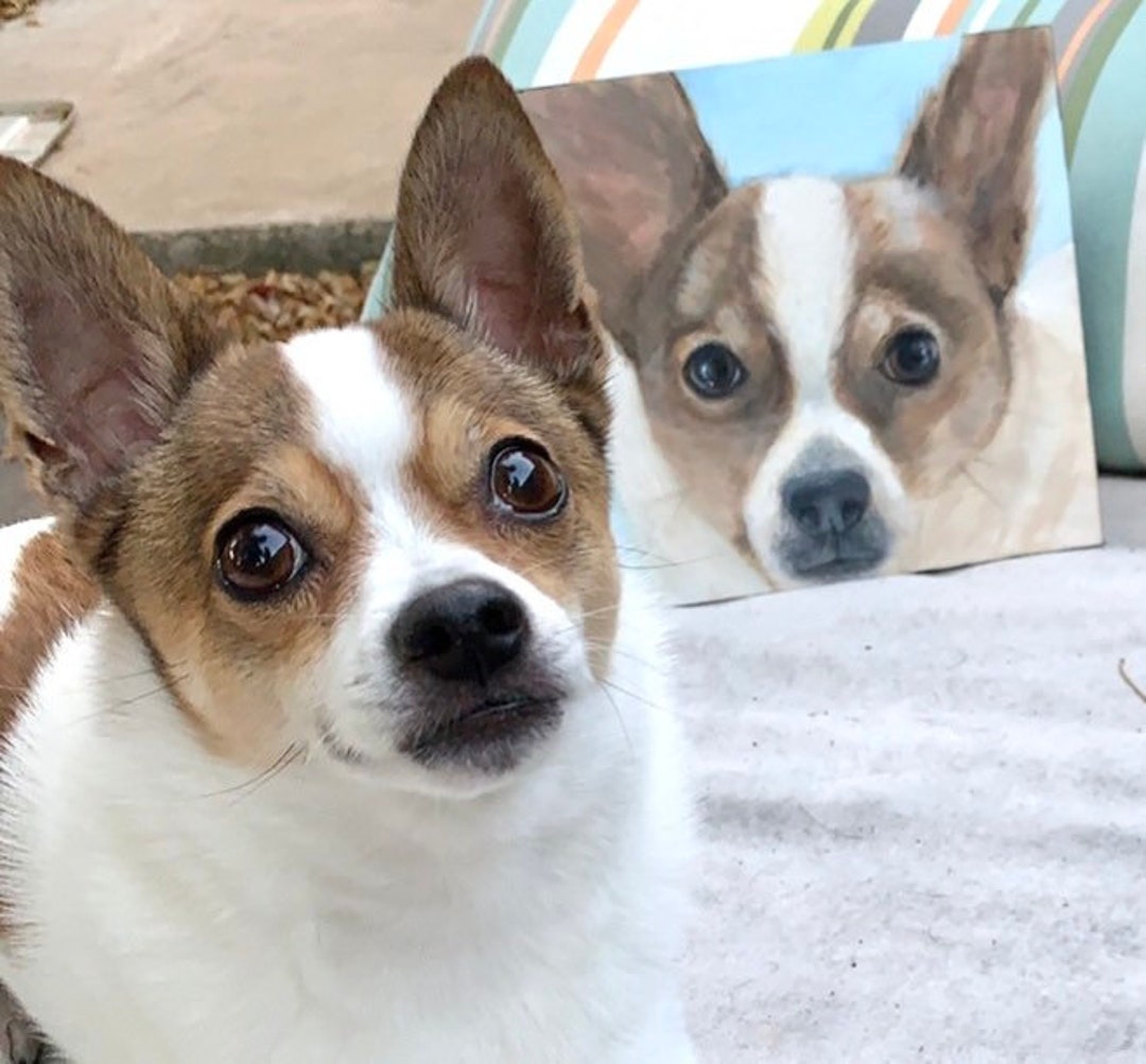 Pop Art Pet Portrait - Capture a Bit of Their Sweet Soul! A Fabulous ...