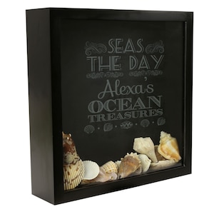 Seashell Shadow Box, Seashell Collection Box, Seashell Art, Seashell ...