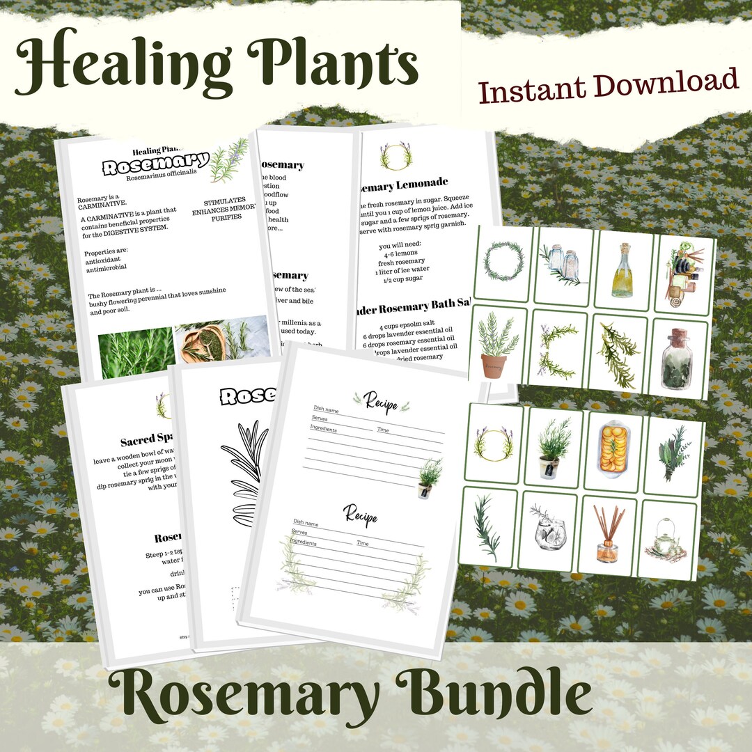 Rosemary Learning Bundle for Homeschooling Healing Plants - Etsy