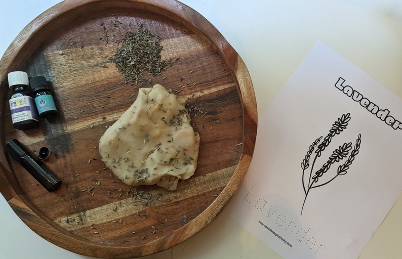 Lavender Learning Bundle for Homeschooling, Healing Plants Printable Series - Etsy