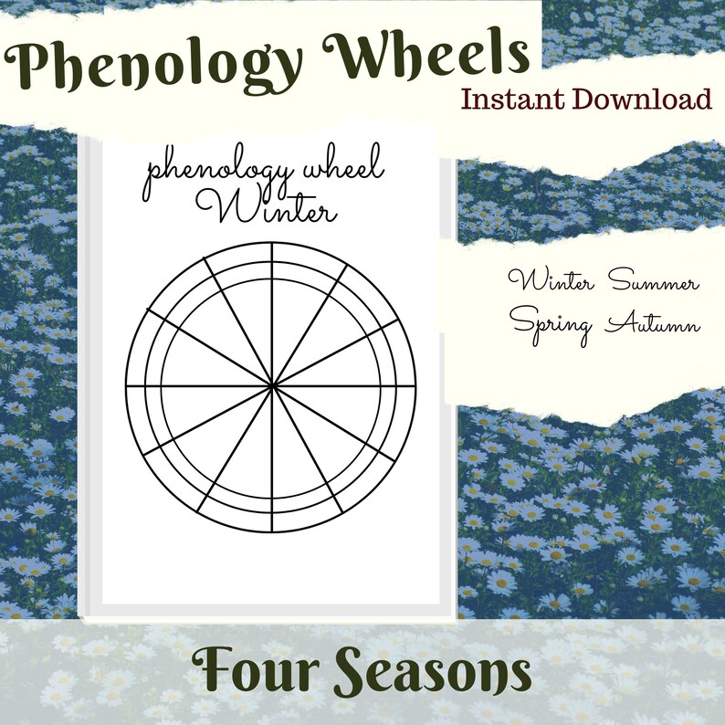 Phenology Wheels, 12 Sections, Winter, Spring, Summer, Autumn ...