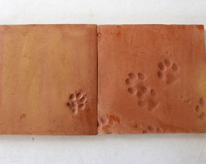 7-saltillo Tiles With Animal Paw Prints (natural), Mexican Clay ...