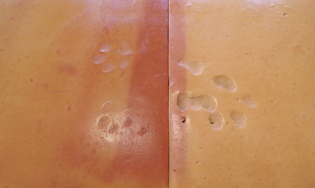 7-saltillo Tiles With Animal Paw Prints natural, Mexican Clay ...