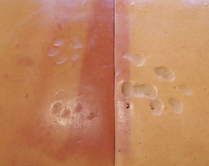7-saltillo Tiles With Animal Paw Prints (natural), Mexican Clay ...