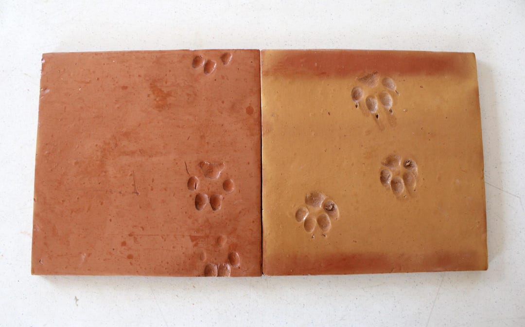 7-saltillo Tiles With Animal Paw Prints natural, Mexican Clay ...