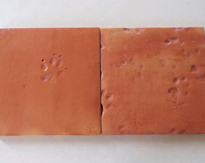 7-saltillo Tiles With Animal Paw Prints natural, Mexican Clay Floor ...