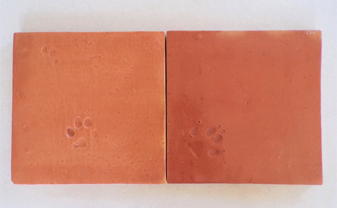 6-saltillo Tiles With Animal Paw Prints natural Mexican - Etsy