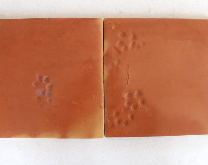7-saltillo Tiles With Animal Paw Prints (natural), Mexican Clay ...
