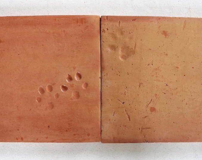 5-saltillo Tiles With Animal Paw Prints (natural), Mexican Clay ...