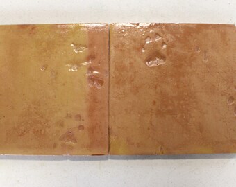 7-saltillo Tiles With Animal Paw Prints natural, Mexican Clay ...