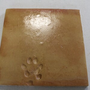 7-saltillo Tiles With Animal Paw Prints natural, Mexican Clay ...
