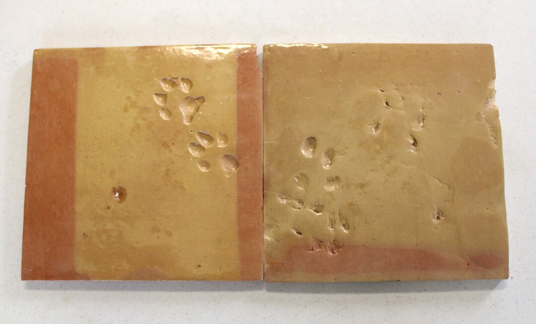 7-saltillo Tiles With Animal Paw Prints natural, Mexican Clay ...