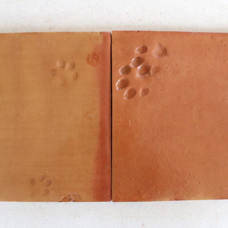 Paw Print Tile - Etsy