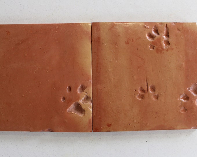 7-saltillo Tiles With Animal Paw Prints (natural), Mexican Clay ...