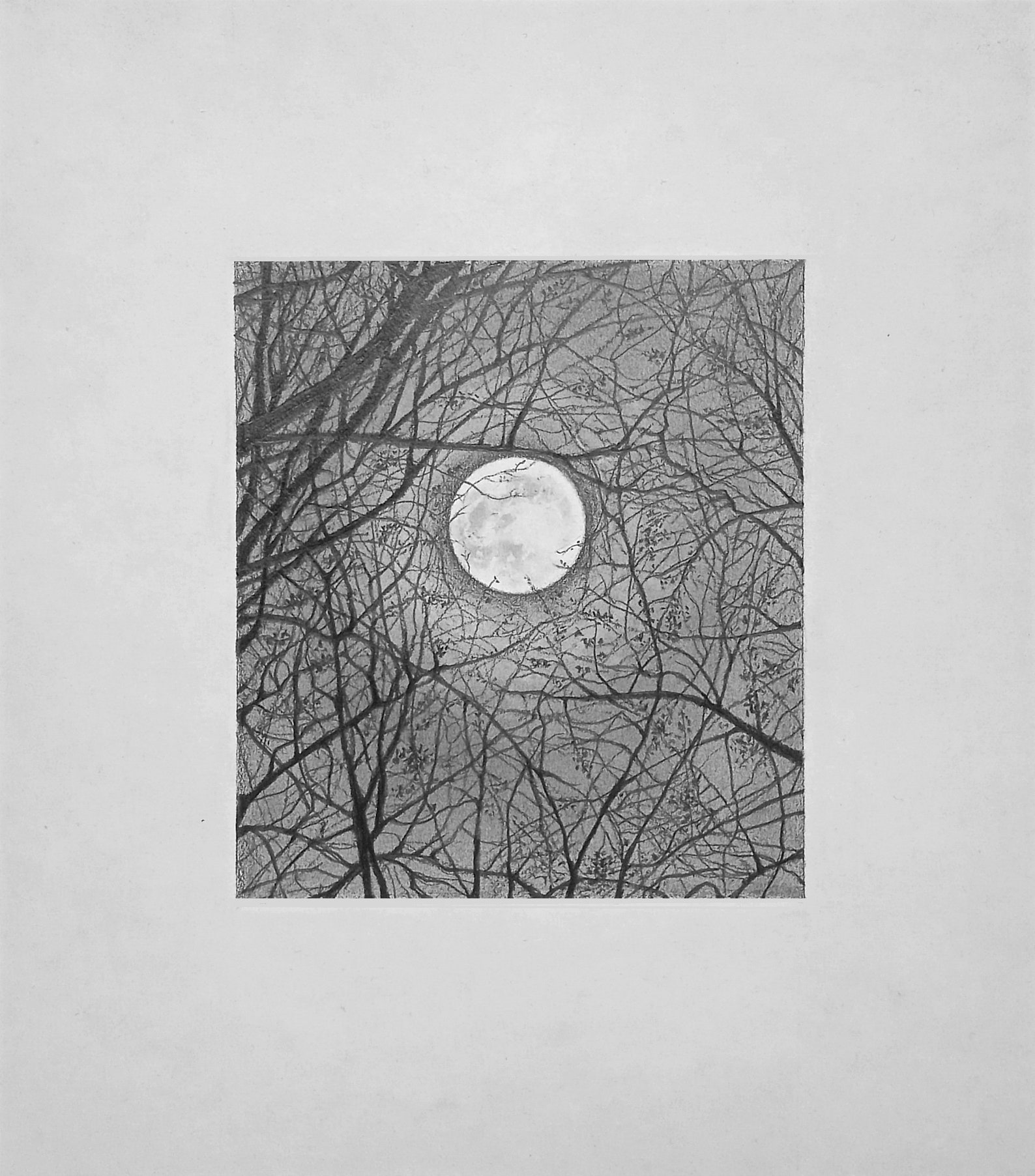 Full Moon ORIGINAL Graphite Pencil Drawing Kuryakova Art Miniature ...