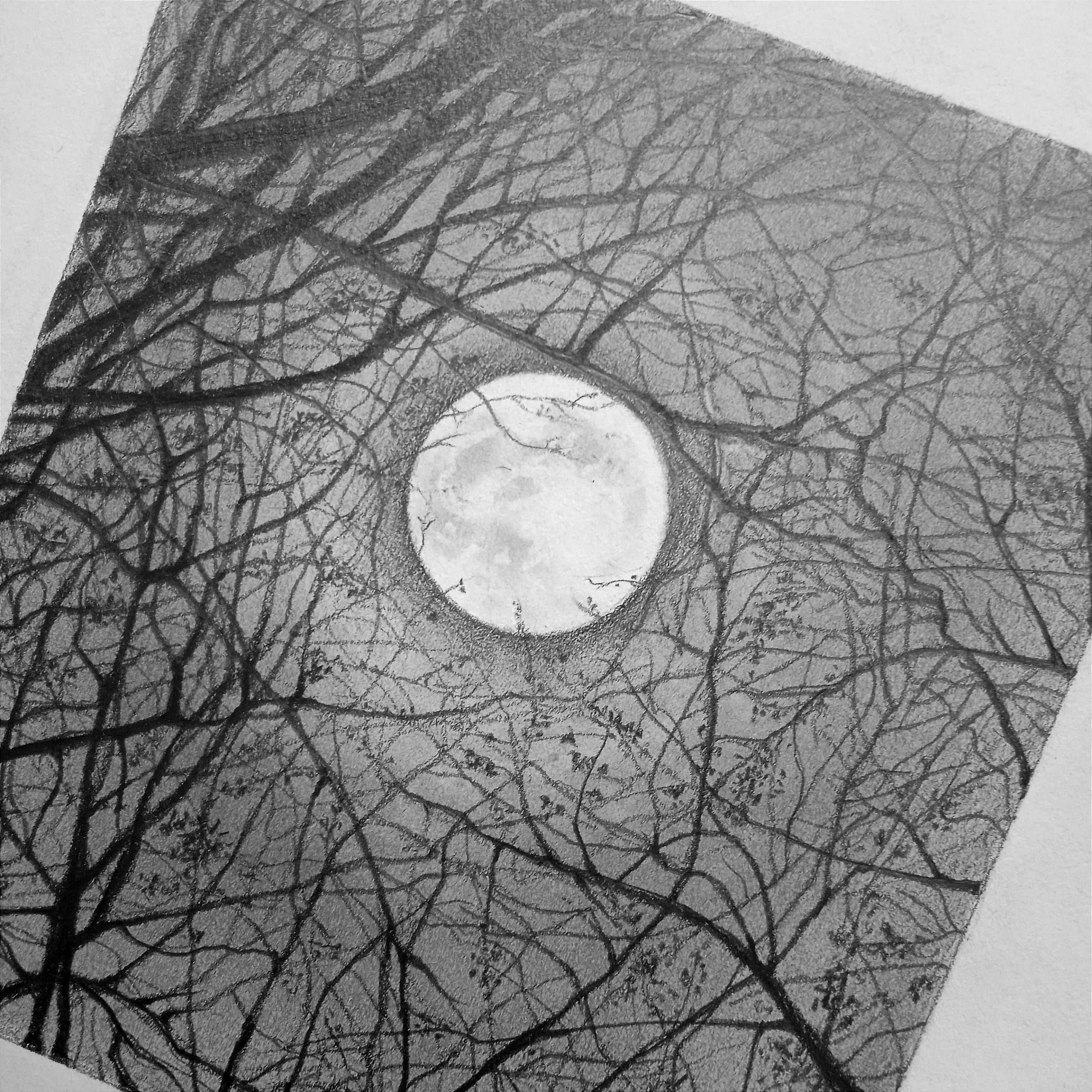 Full Moon ORIGINAL Graphite Pencil Drawing Kuryakova Art - Etsy