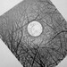 Full Moon ORIGINAL Graphite Pencil Drawing | Kuryakova Art | Miniature ...