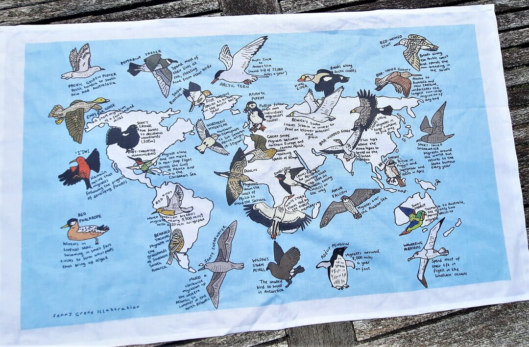 Bird Migration World Map Tea Towel - Etsy