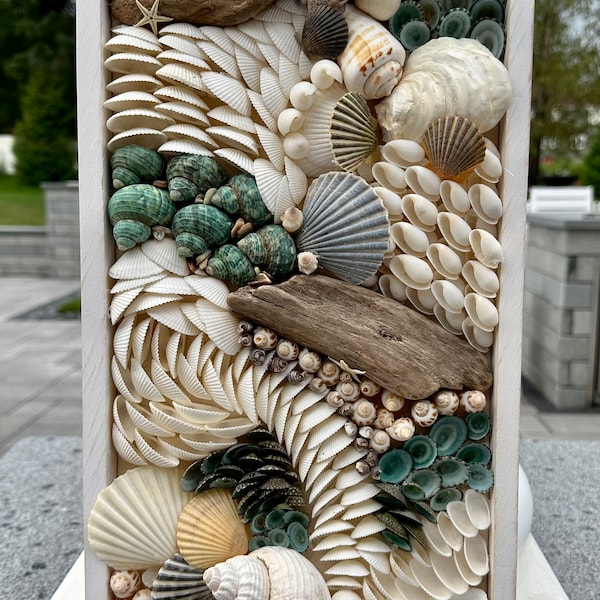 Abstract Shells - Etsy