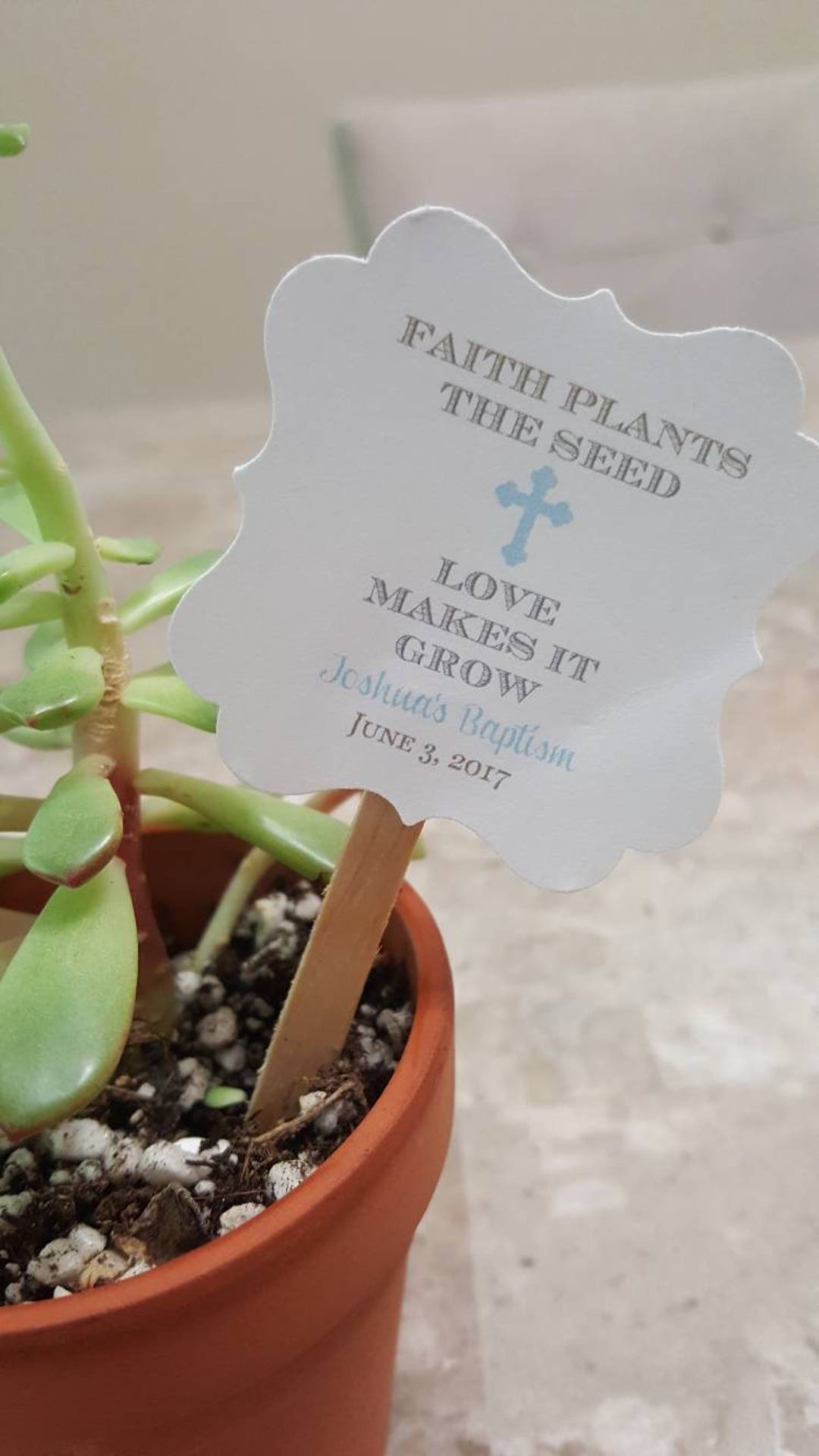 Personalized Succulent Favor Tags, Baptism, First Communion (2x2") - Etsy