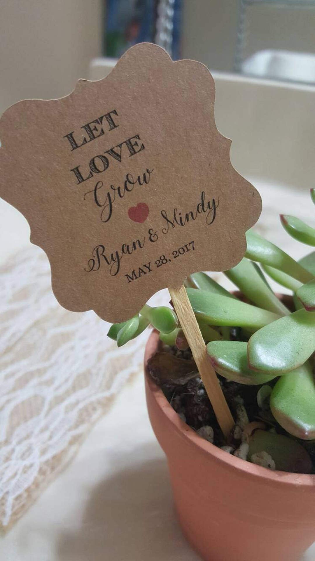 Let Love Grow Succulent Favor Tags With Sticks, Wedding Decor - Etsy