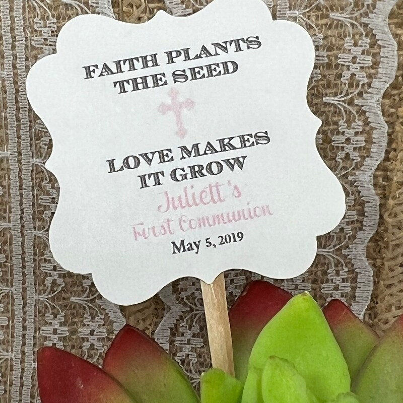 Succulent Gift Tag - 60+ Gift Ideas for 2025