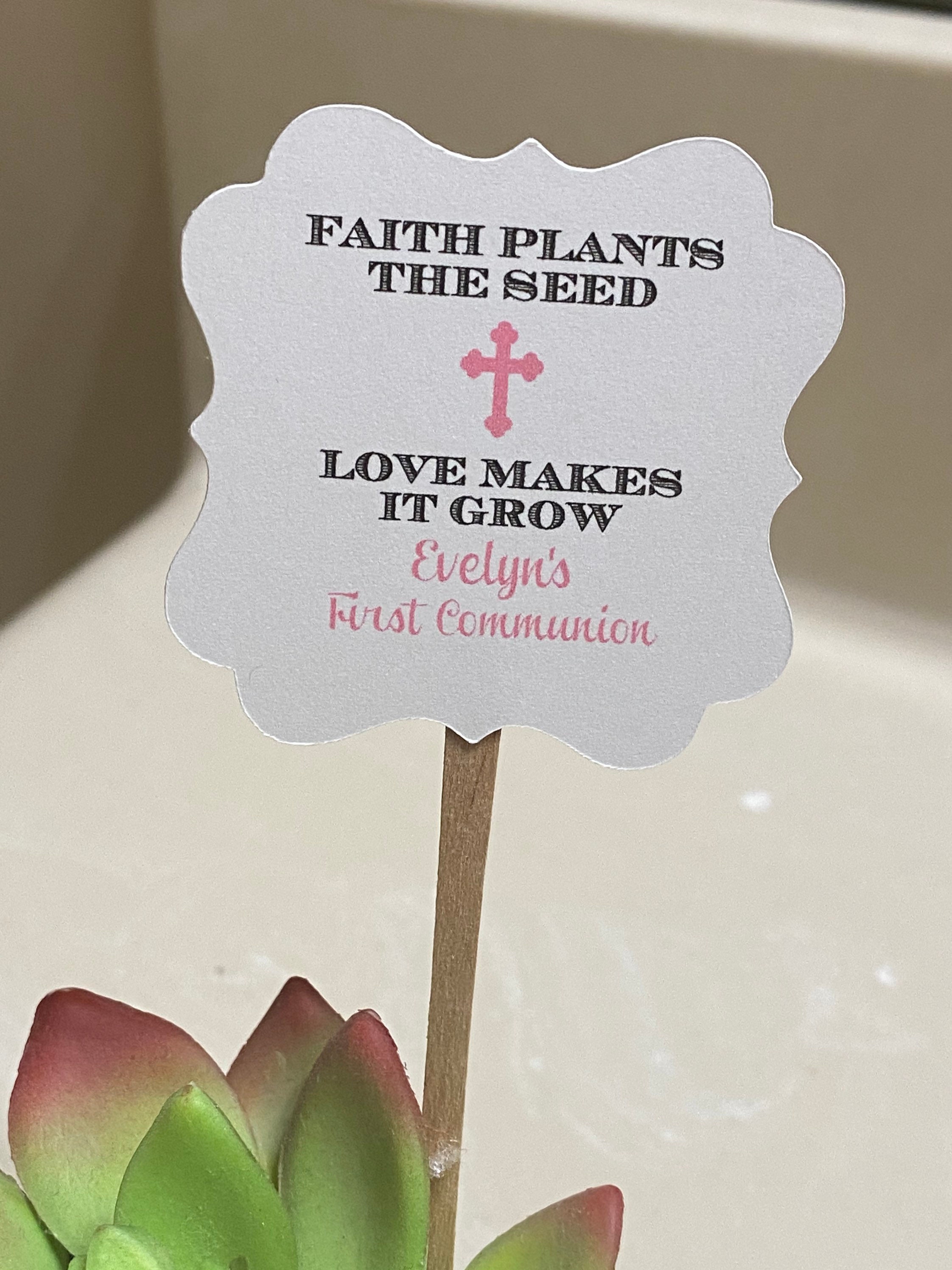 Faith Plants the Seed Love Makes It Grow Succulent Tags With Stick ...