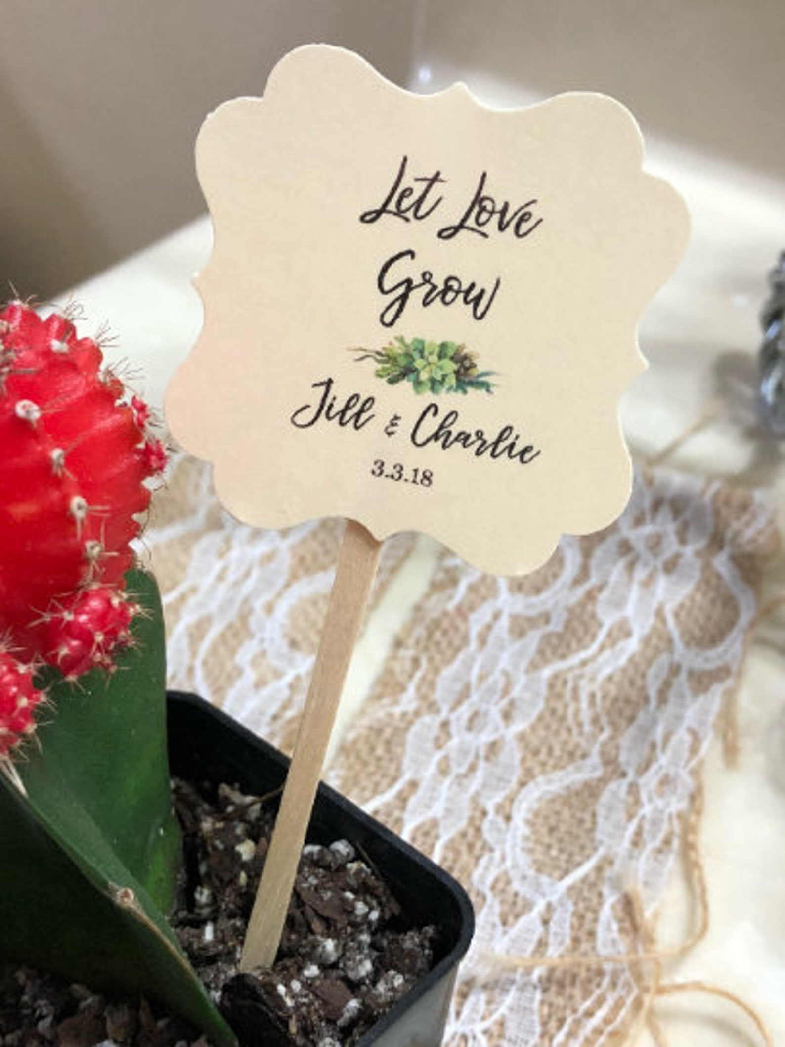 Let Love Grow Succulent Favor Tags With Stick, Wedding Decor - Etsy