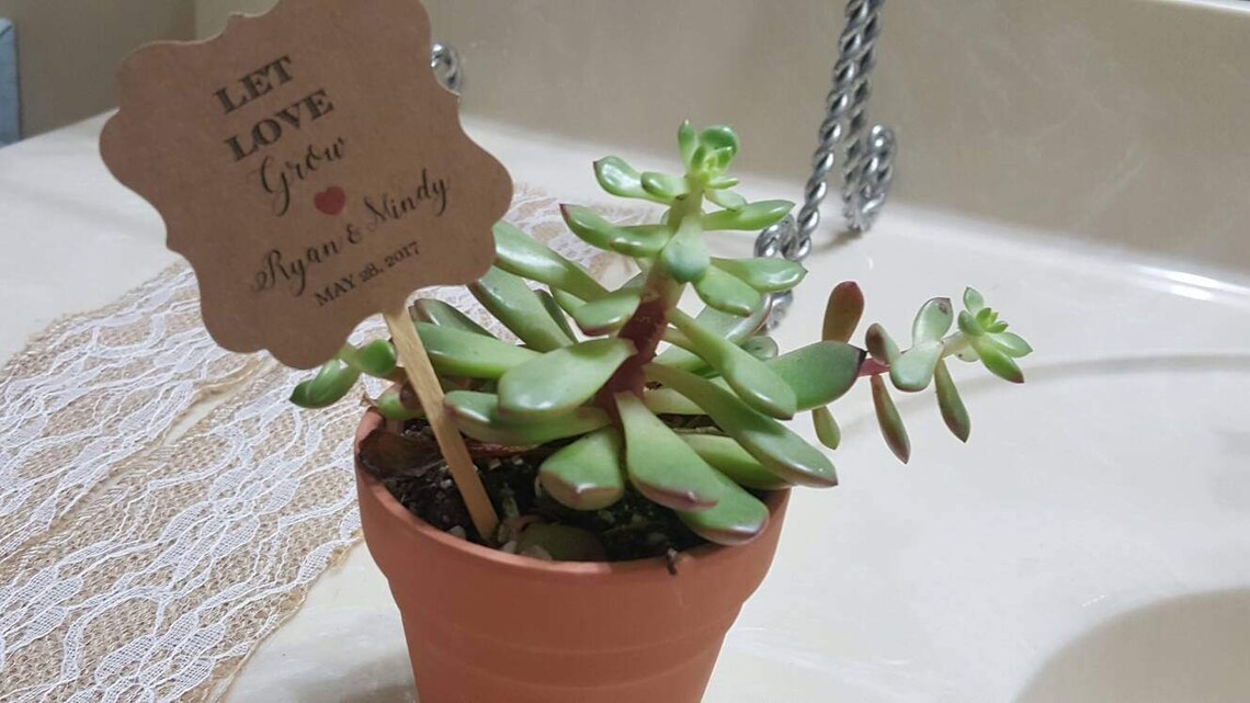 Let Love Grow Succulent Favor Tags With Sticks, Wedding Decor - Etsy
