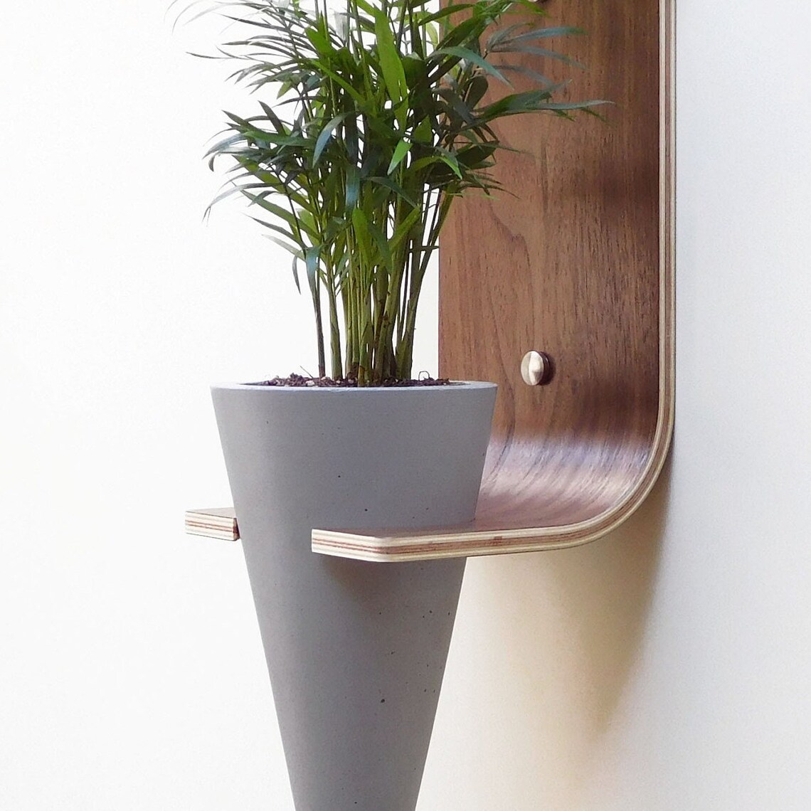 Wooden Wall Planter Stand for Concrete Cone Large Pot Indoor - Etsy