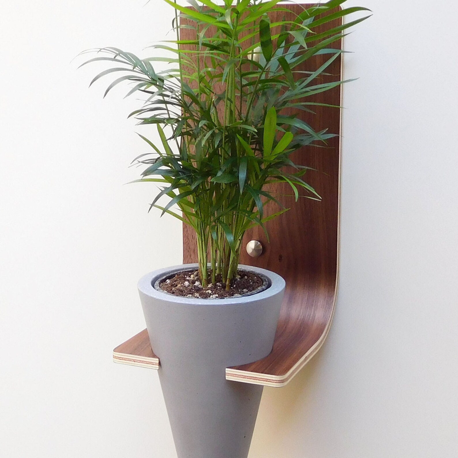 Wooden Wall Planter Stand for Concrete Cone Large Pot Indoor - Etsy