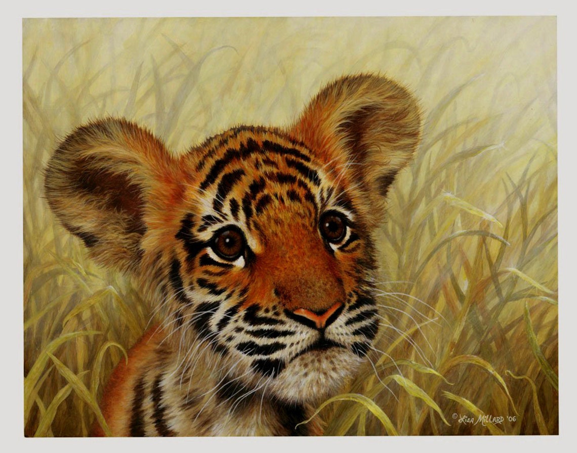 Cub Scout (signed & Numbered Print. Edition Size: 500) - Etsy