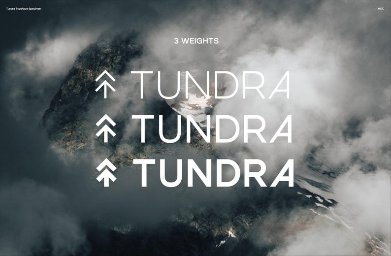 Tundra Pro Typeface Bold Sans Serif Font With Stylistic Alternate ...