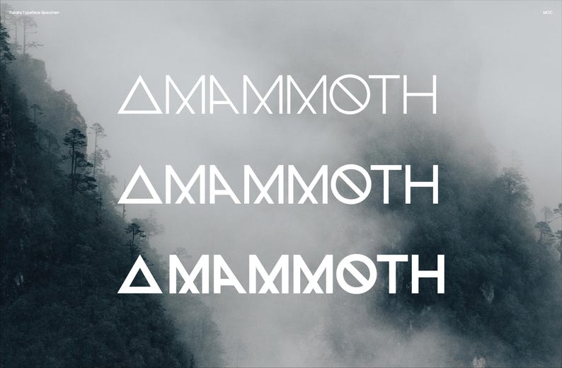 Tundra Pro Typeface Bold Sans Serif Font With Stylistic Alternate ...