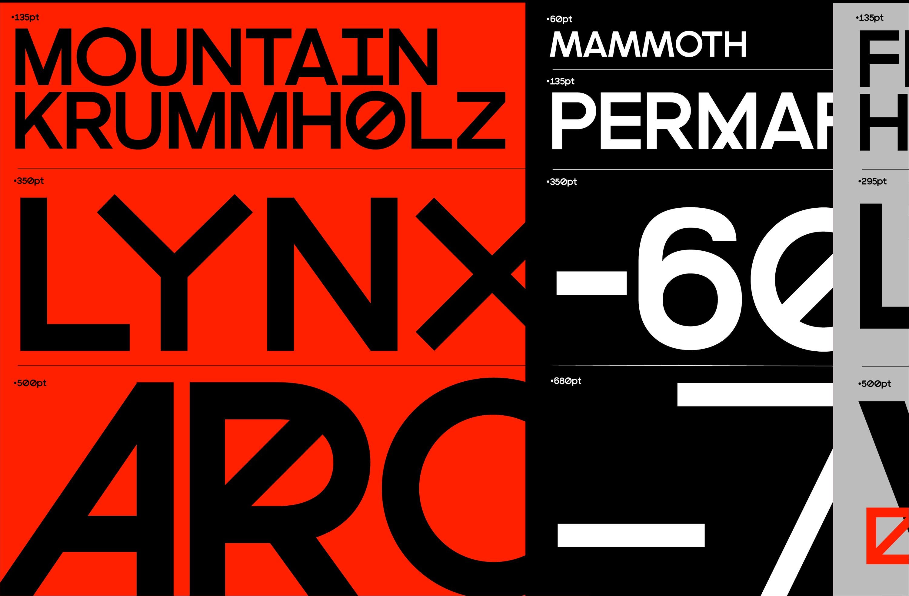 Tundra Pro Typeface Bold Sans Serif Font With Stylistic Alternate ...